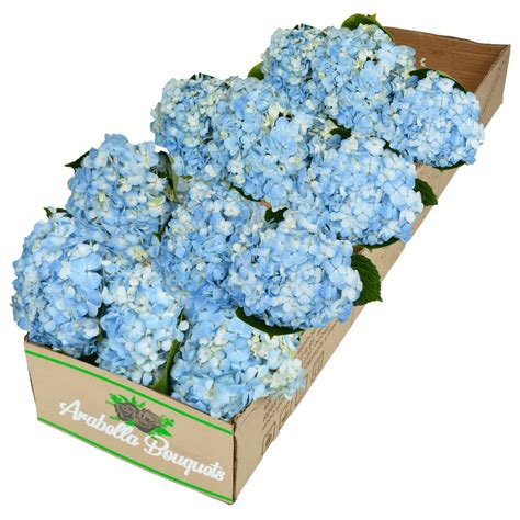 Blue Hydrangea Corsage