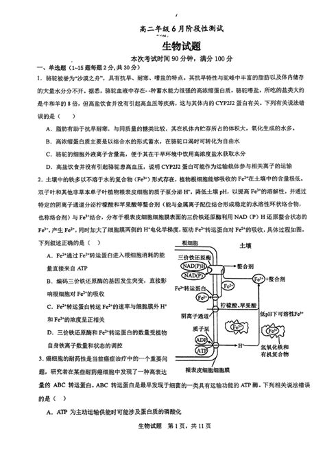 生物 山东省枣庄市滕州市第一中学2023 2024学年高二下学期6月月考生物试题扫描版无答案 试卷下载预览 二一课件通