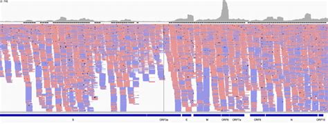 sequence analysis of sars cov 2 part 3 dave tang s blog