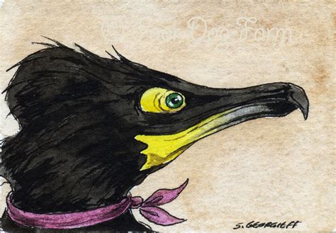 The Special Spectacled Cormorant No 67 Of 100 Series Etsy