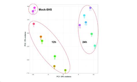 hierarchical clustering of mir expression analysis of overall read