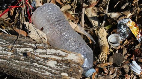 Transformer les déchets plastiques en richesse une opportunité d un milliard de dollars pour l