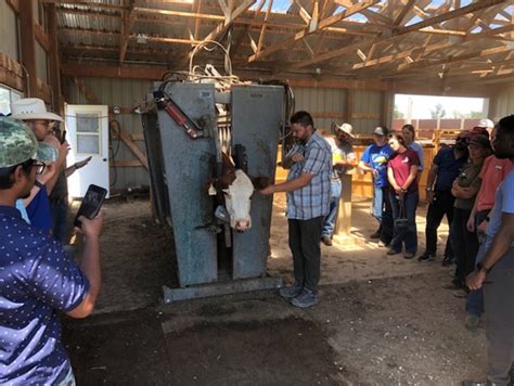 13 Participate In First Sdsu Extension Precision Livestock Field School
