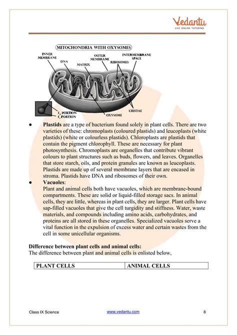 Cbse Class 9 Science Notes Chapter 5 The Fundamental Unit Of Life Pdf