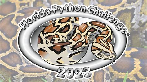 Python Challenge Award Ceremony YouTube