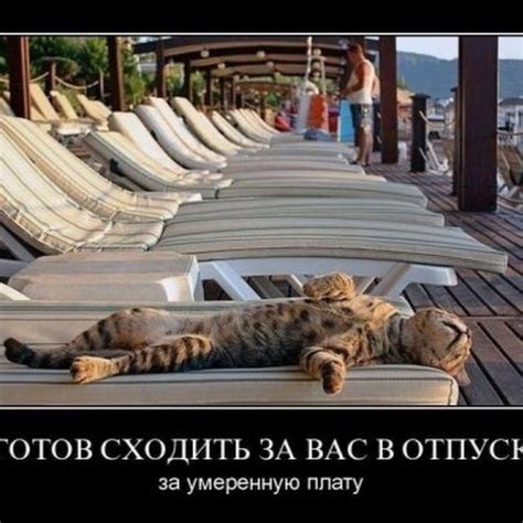 День удался картинки (27 фото)