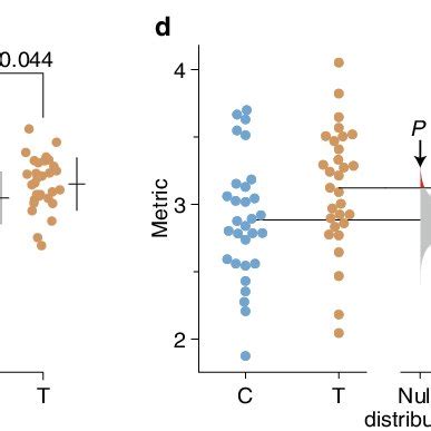 PDF Moving Beyond P Values Data Analysis With Estimation Graphics