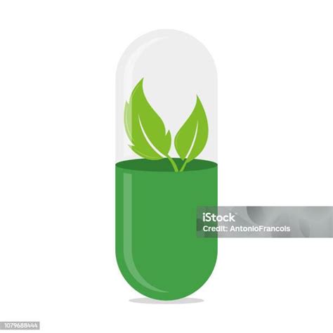 天然藥丸植物向量圖示插圖向量圖形及更多膠囊圖片 膠囊 草本植物 藥丸 Istock