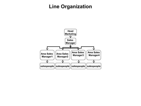 Salesorganizationstructure 160530194646 Pdf