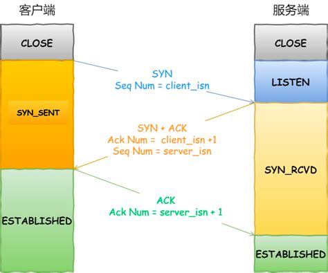 41 Tcp 三次握手与四次挥手面试题 小林coding
