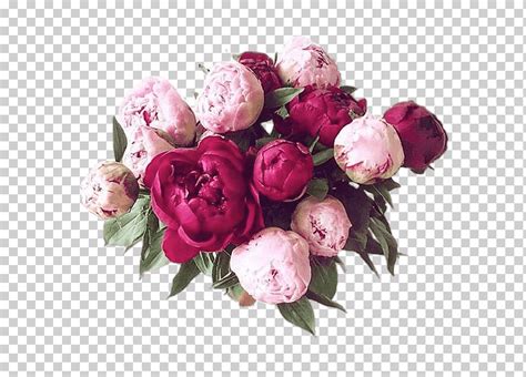 Ramo De Flores Rosadas Png Klipartz