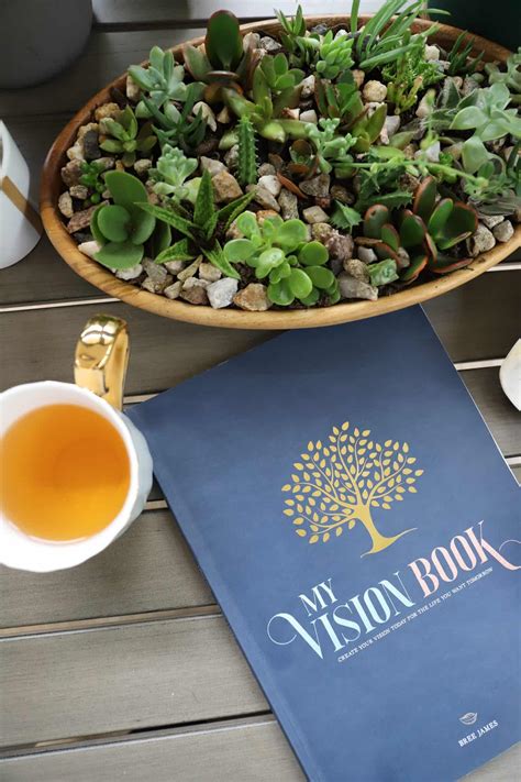 My Vision Book SP My Vision Book