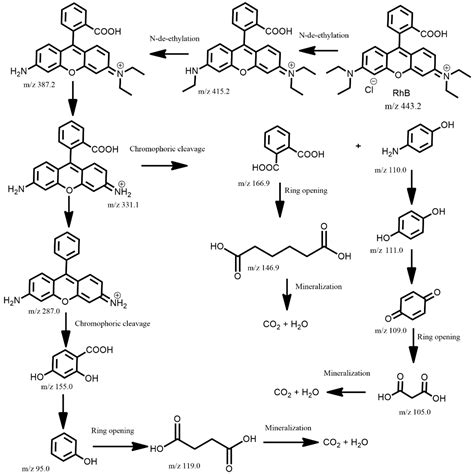 Nanomaterials Free Full Text Supramolecular Self Assembled