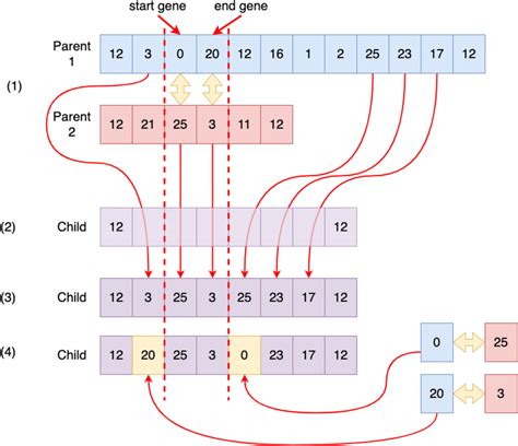 Illustration Of The Partial Mapping Crossover Process For Uneven Length Download Scientific