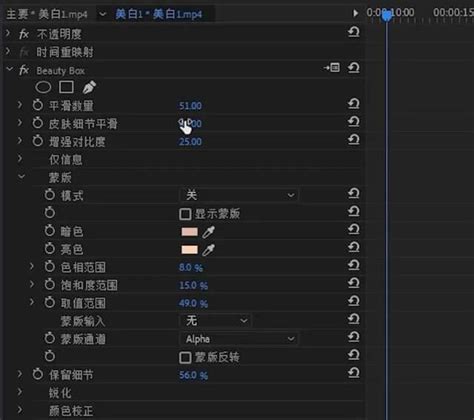 Beauty Box 专业的视频磨皮插件，用于 Adobe Premiere Pro 和 After Effec！ 哔哩哔哩