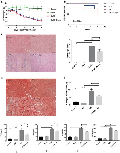 Dapagliflozin Treatment Ameliorates Myocarditis Viral Myocarditis
