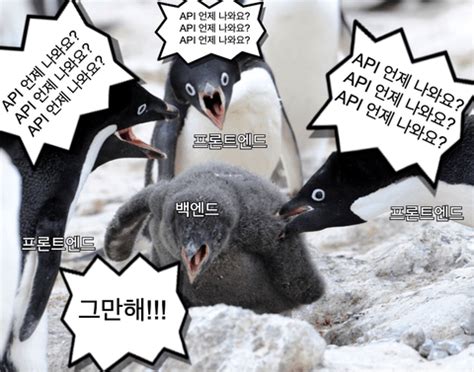 Next js에서 MSW Mock Service Worker 로 네트워크 Mocking하기 올리브영 테크블로그