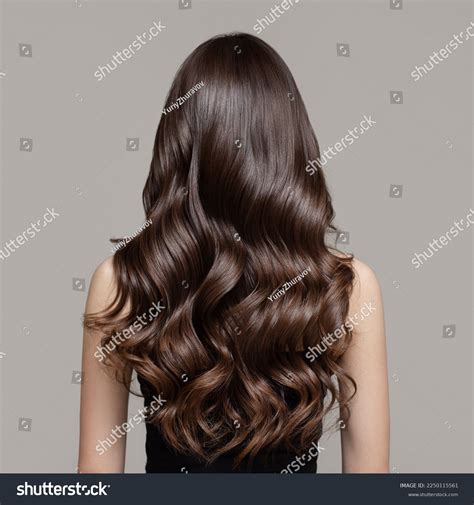 383 Thousand Young Woman Long Brown Hair Royalty Free Images Stock