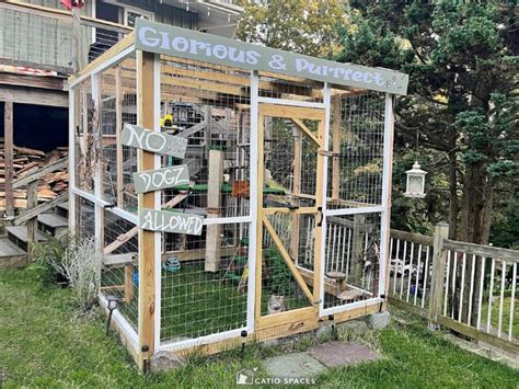 Build A Catio Oasis A Diy Success Story Catio Spaces