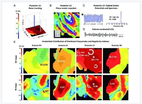 Example Of The Spatial Distribution Of Frequencies And Spectral