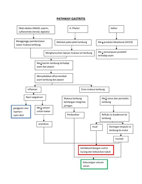 Pathway Gastritis Pdf