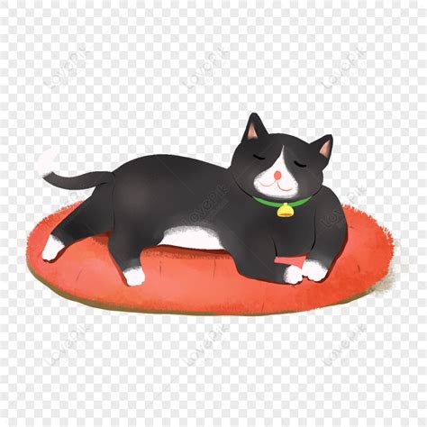 잠자는 고양이 Png 일러스트 무료 다운로드 Lovepik