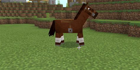 Jak rozmnożyć konie w Minecraft Dowiedz się jak rozmnażać konie