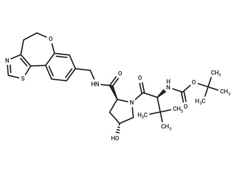 E3 Ligase Ligand 27 Targetmol