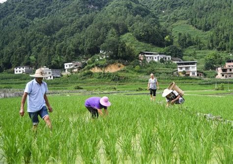 這些一次性補貼、補助！你領到了嗎？ 壹讀