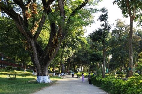 Diphu Assam Welcome Assam Explore Best Tourist Places Hotels