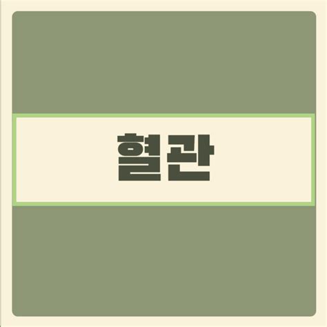 [ 혈관 ] 혈관의 종류 동맥 정맥 모세혈관 네이버 블로그