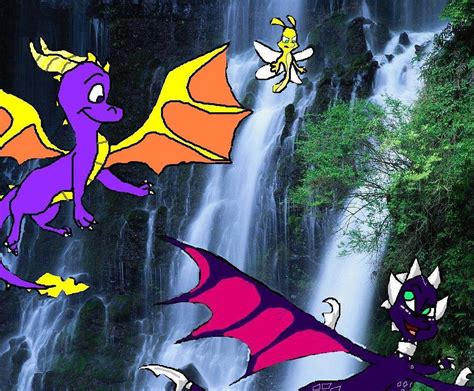 Spyro And Cynder Cynder Photo 17771341 Fanpop