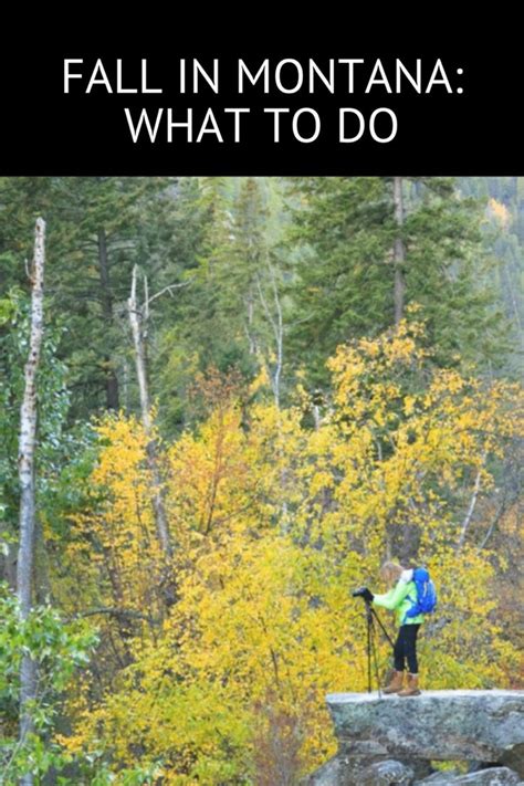 Explore Montanas Fall Colors Montana Travel Fall Travel Montana