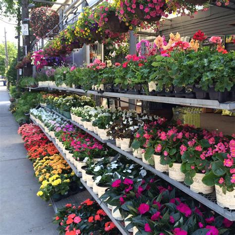 Our First Shipment Of Spring Davenport Garden Centre Facebook