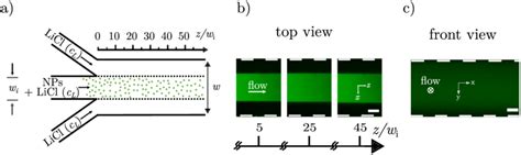 Figure S1 Particle Dynamics Under No Salinity Gradient Conditions C