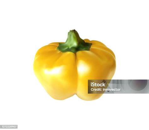 흰색 배경에 고립 된 사실적인 3d 파프리카 벡터 그림입니다 3차원 형태에 대한 스톡 벡터 아트 및 기타 이미지 3차원 형태 개념 개념과 주제 Istock