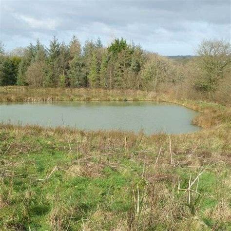 Devon Lakes And Land For Sale Uk