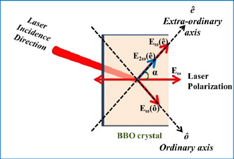 Vector Diagram Displaying Ordinary And Extraordinary Orthogonal Download Scientific Diagram
