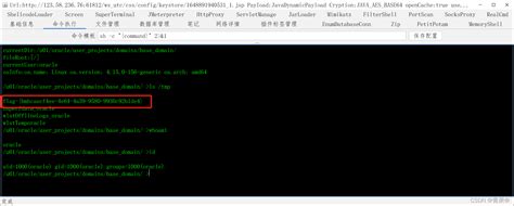 【vulfocus漏洞复现】weblogic cve 2018 2894 cve 2019 8924 csdn博客