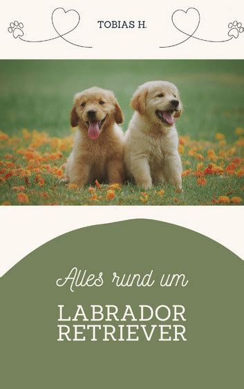 Alles Rund Um Labrador Retriever Ebook By Tobias Hopfmüller Epub Rakuten Kobo United States