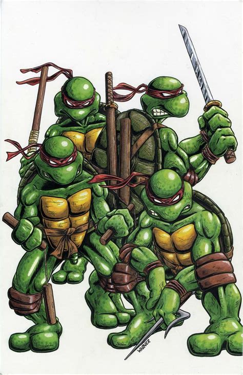 10 Best Images About Tmnt Characters Fan Art On Pinterest Pizza Tmnt
