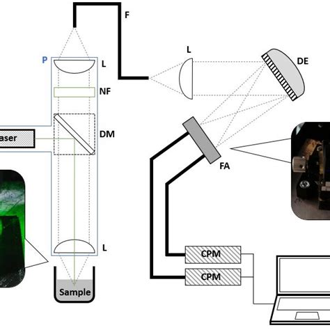 Schematic Diagram Of The Raman Sensor Prototype P Probe Dm