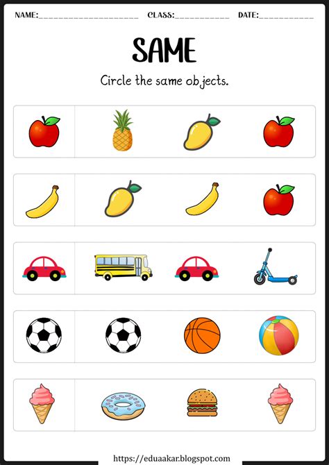 same and difference with words worksheet