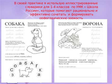Представление опыта работы на тему: " Использование иллюстрированных ...