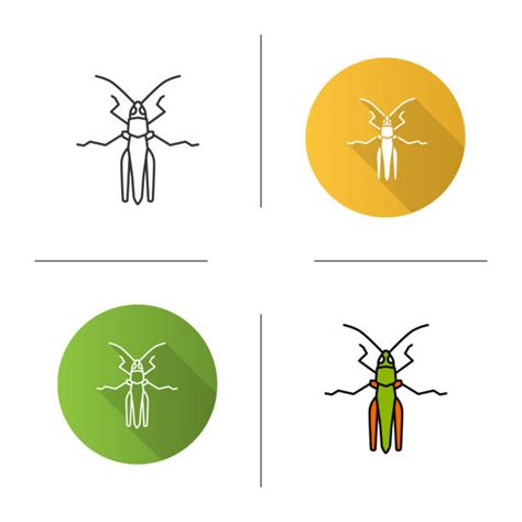 210 Light Grasshopper Stock Illustrations Royalty Free Vector