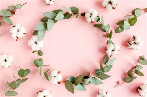 꽃 구성 분지 유칼립투스로 만든 화환 잎과 분홍색 배경에 고립 된 면 플로럴 컨셉 0명에 대한 스톡 사진 및 기타 이미지 0명 개념 건강관리와 의술 Istock