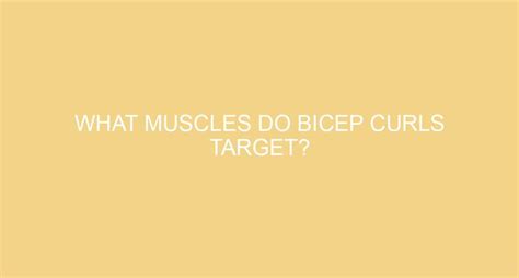 Targeted Muscles Bicep Curls Explained
