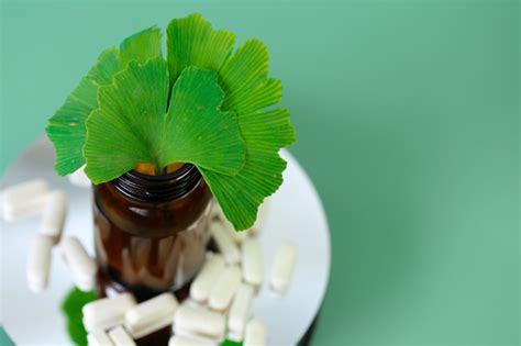 은행나무 Biloba Pillsginkgo Biloba 잎과 녹색 배경에 은행나무 Biloba 추출물이있는 흰색 정제 은행나무 빌로바 추출물로 준비 대체 의학 및 동종 요법