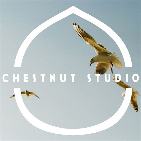 淘宝以前买的东西怎么查？三步教你快速找回历史订单 淘宝东西 淘宝百科网