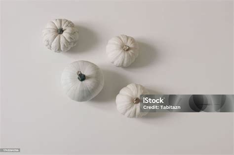 작은 하얀 호박 세트가 테이블에 분리되어 있다 베이지색 크림색 배경에 조롱박 야채 추수감사절 할로윈 휴일 개념 가을 음식 배너 자연 계절 플랫 레이 탑 뷰 0명에 대한 스톡